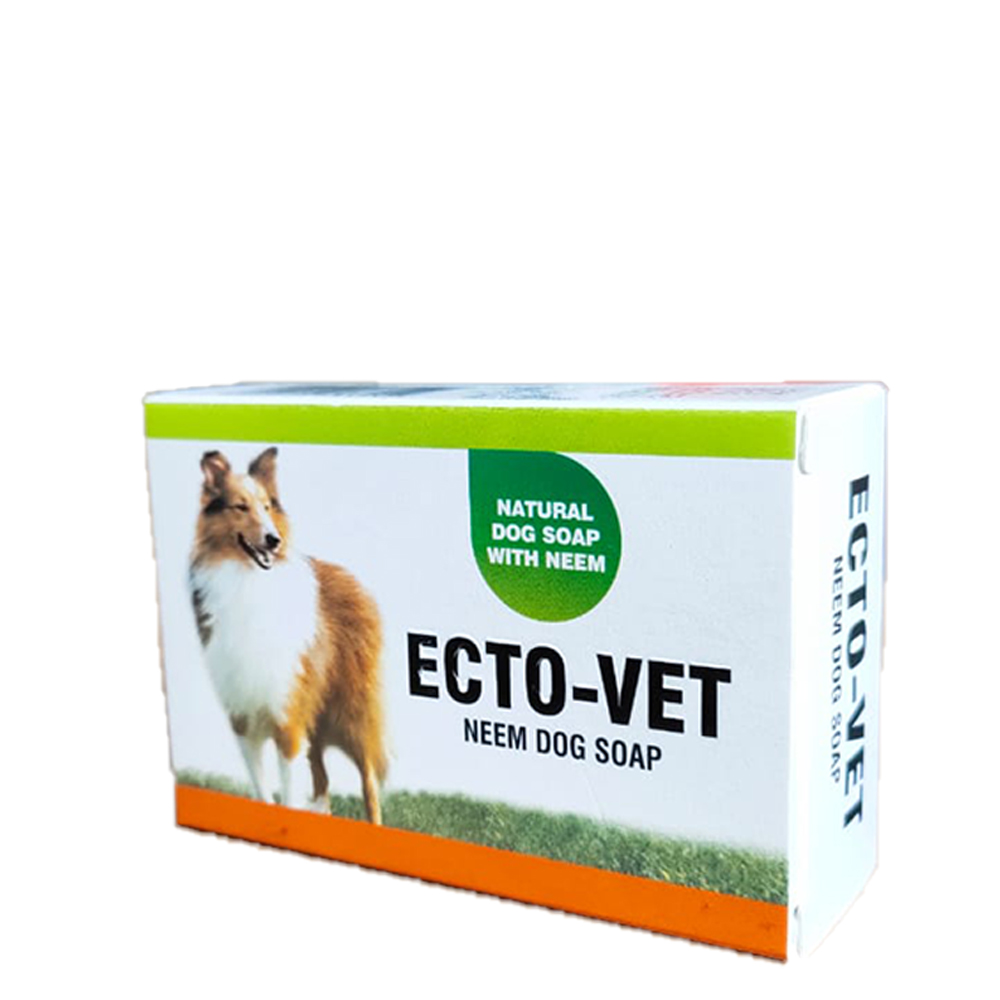Pets – VCPL
